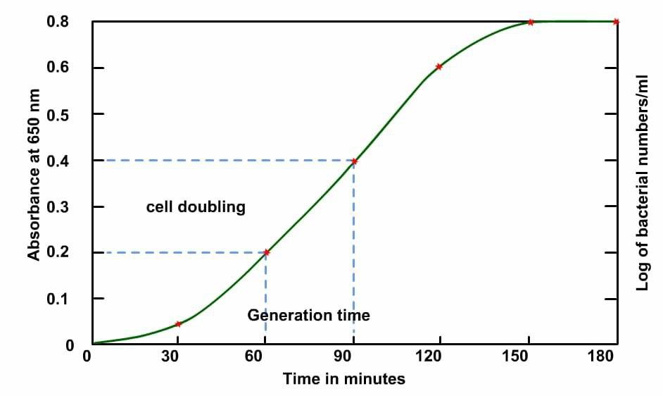 Solved 0.8 0.6 0.5 0.4 Absorbance at 650 nm Log of bacterial | Chegg.com