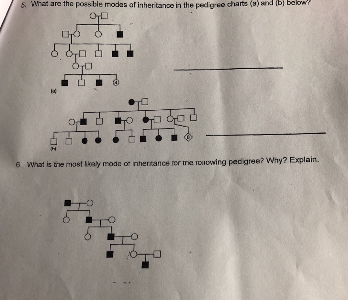 Solved 5. What are the possible modes of inheritance in the | Chegg.com
