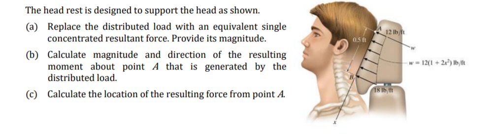 Solved The head rest is designed to support the head as | Chegg.com