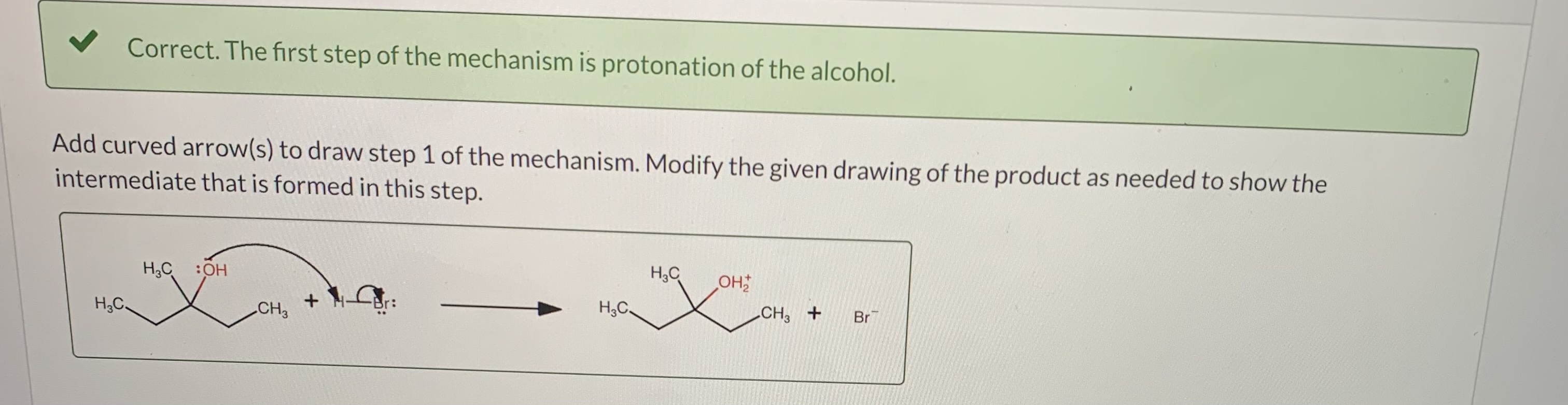 Solved Correct. The first step of the mechanism is | Chegg.com