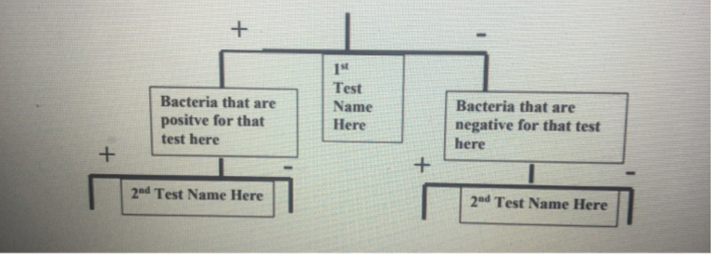 Urease H2S Citrate Indole Motility Oxidase NEG NEG | Chegg.com