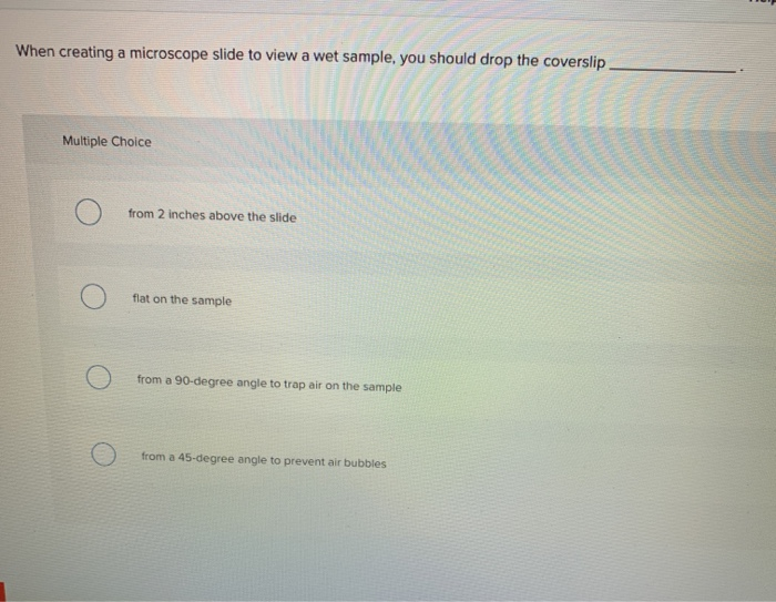 Solved Correctly label the following planes. Frontal plane | Chegg.com