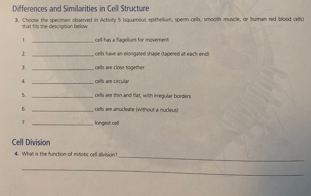 Solved Differences and similarities in Cell Structure 3. | Chegg.com