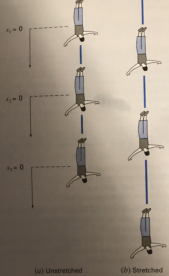 Solved 2526 Three Linked Bungee Jumpers Are Depicted In 