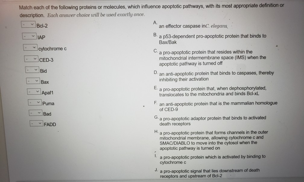 Solved Match each of the following proteins or molecules, | Chegg.com