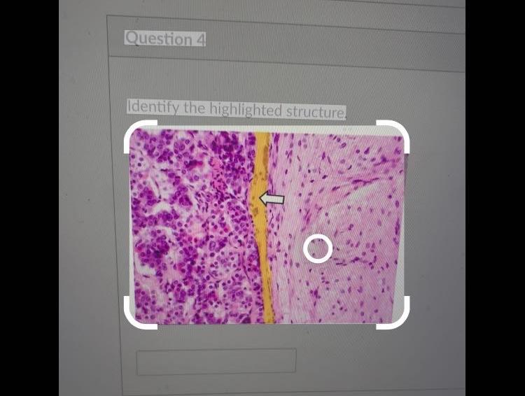 Solved Question 2 Identify the highlighted structure, | Chegg.com