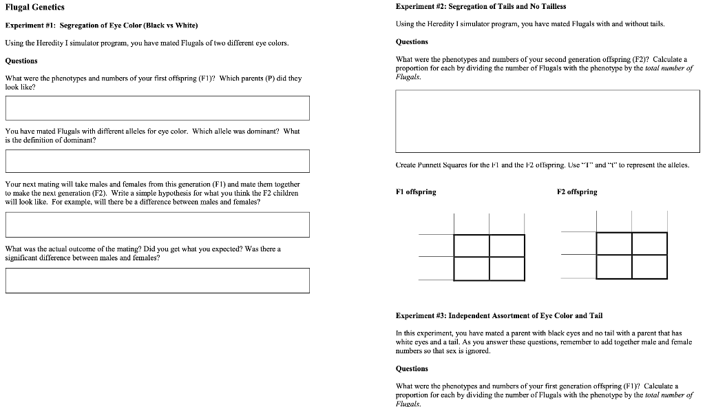 DNA & “Flugal” Genetics Worksheet DNA Isolation | Chegg.com