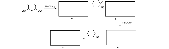 Solved \\( \\stackrel{\\mathrm{NaOCH}_{3}}{\\longrightarrow} | Chegg.com