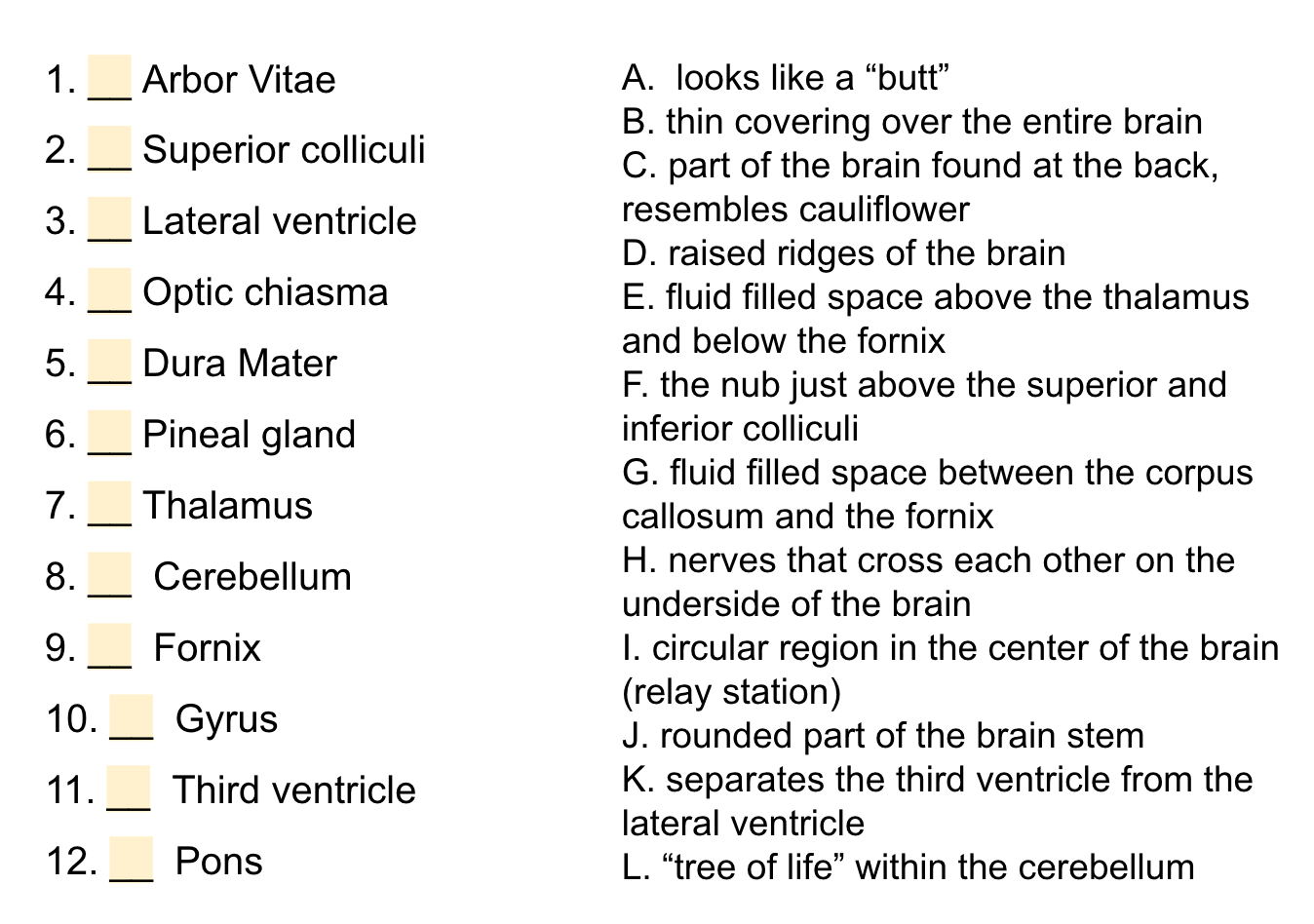 Solved 1. ___ Arbor Vitae 2. Superior colliculi - 3. Lateral | Chegg.com