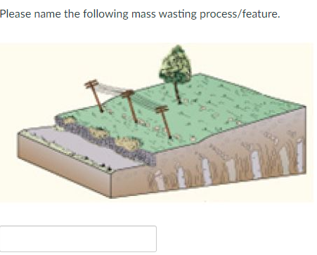 Solved Olease name the following mass wasting | Chegg.com