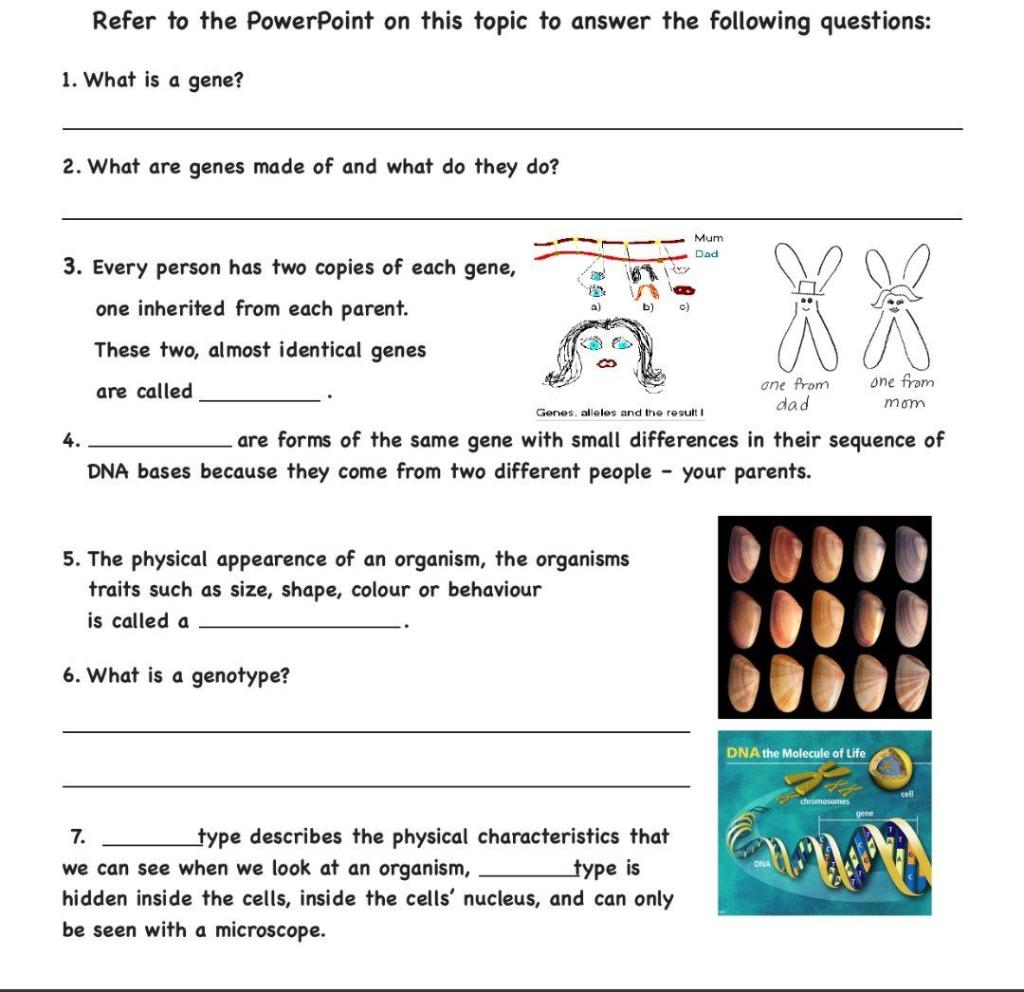 Solved Refer to the PowerPoint on this topic to answer the | Chegg.com
