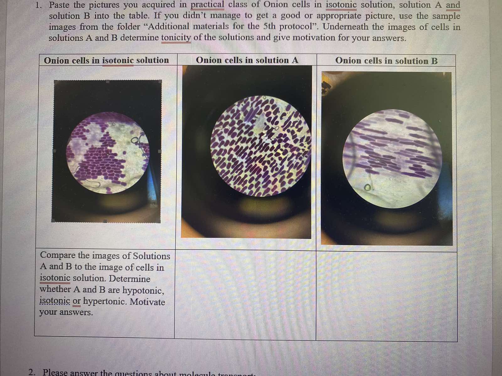 Solved 1. Paste the pictures you acquired in practical class | Chegg.com