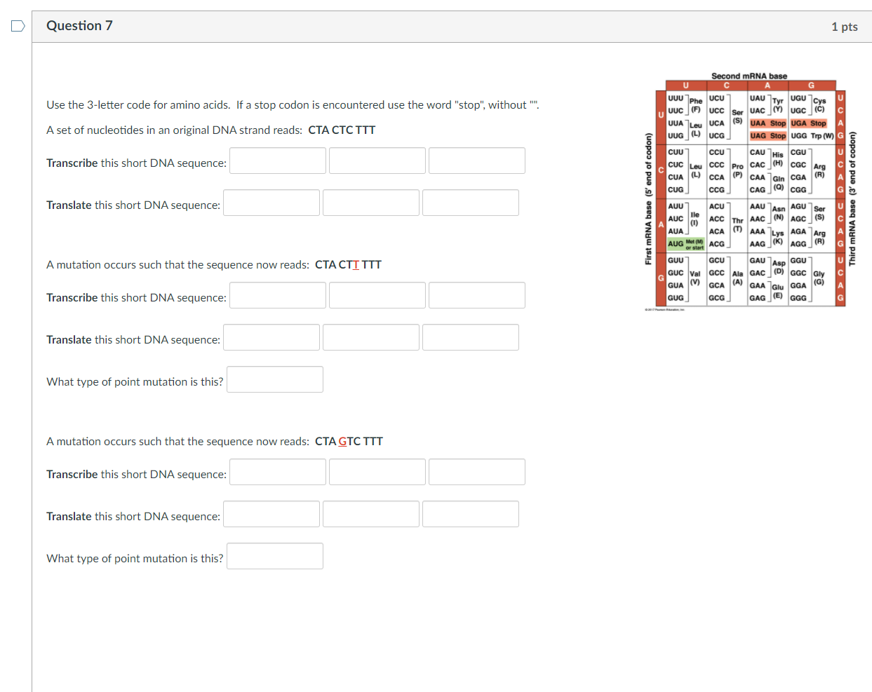 Solved D Question 7 1 pts Second mRNA base U G UUU Phe UCU | Chegg.com