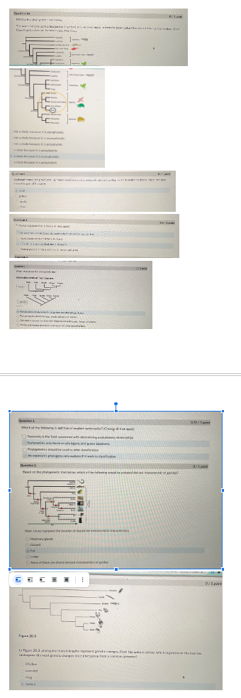 I got this one wrong so i wold like to know the right | Chegg.com