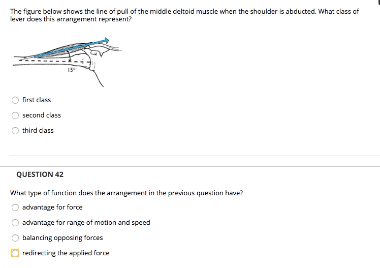 Resolving the muscle force vector in Question 41 into | Chegg.com