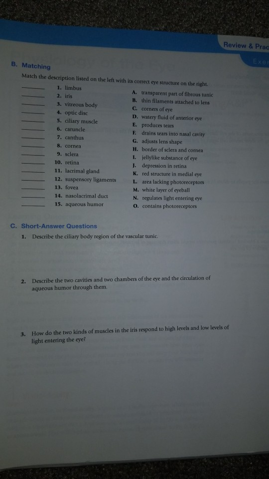 Solved Review & Prac B. Matching Match the description | Chegg.com