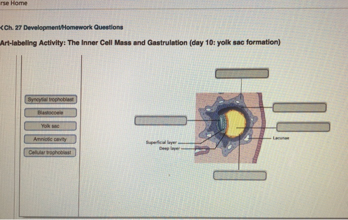 Solved rse Home | Chegg.com