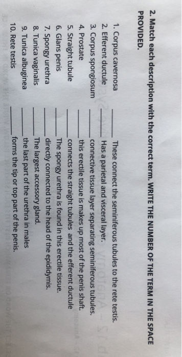 Solved 2. Match each description with the correct term. | Chegg.com