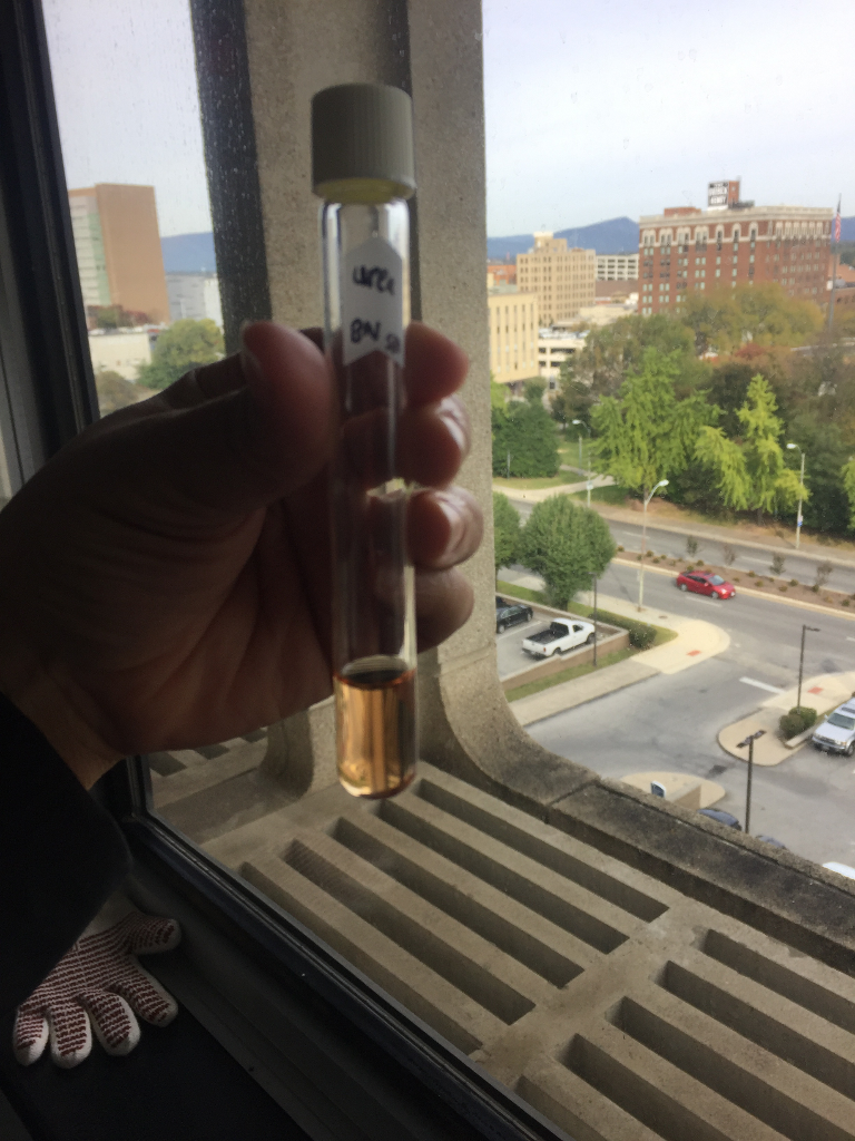 Solved Indole Production Test Results and Interpretations | Chegg.com