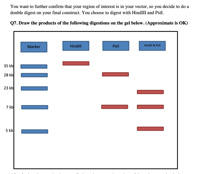 Solved Hi! Can someone explain WHY #2 is what it is? I don't | Chegg.com