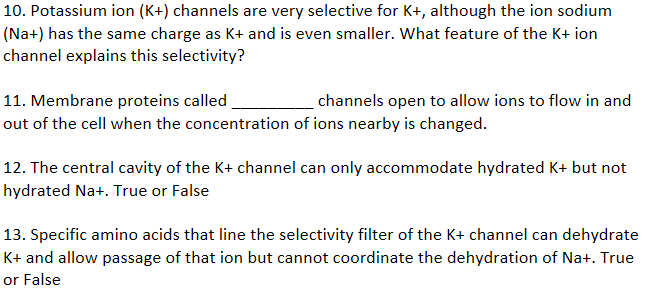Solved 10. Potassium ion (K+) channels are very selective | Chegg.com