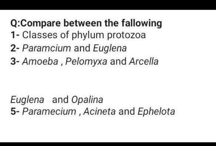 Solved Q:Compare between the fallowing 1- Classes of phylum | Chegg.com