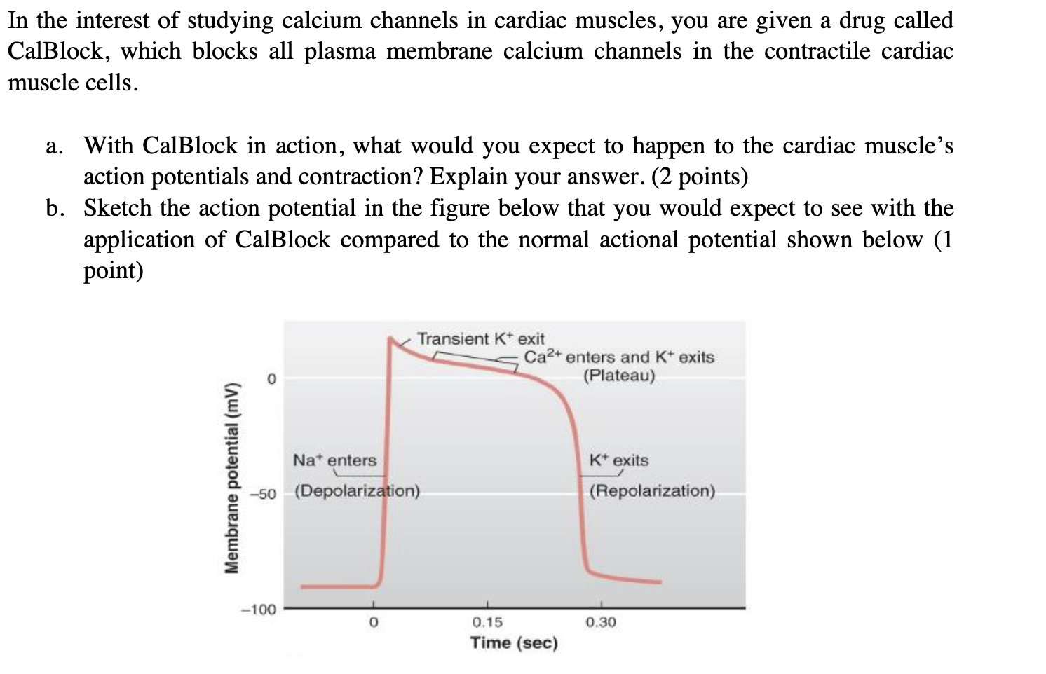 Solved In the interest of studying calcium channels in | Chegg.com