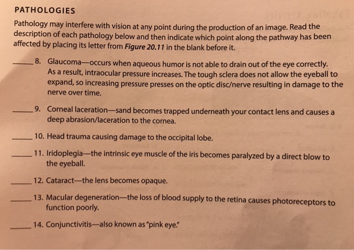 Solved Laboratory 20: Sensory Testing The Sense of Vision | Chegg.com