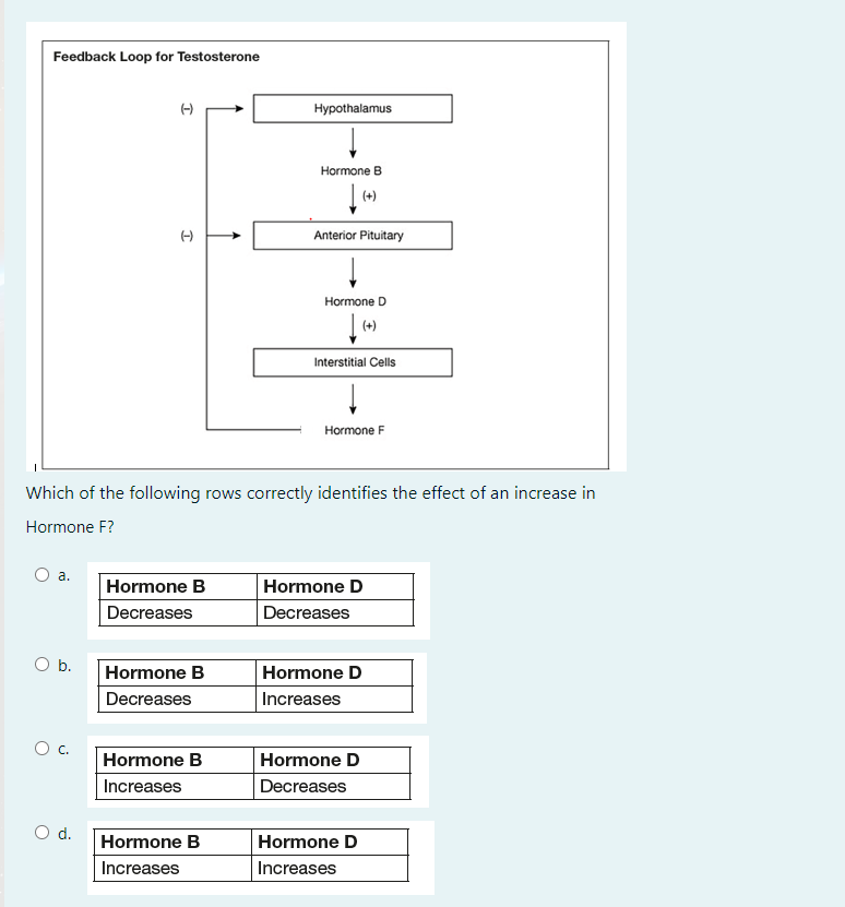 Solved Feedback Loop for Testosterone 1 Hypothalamus Hormone | Chegg.com