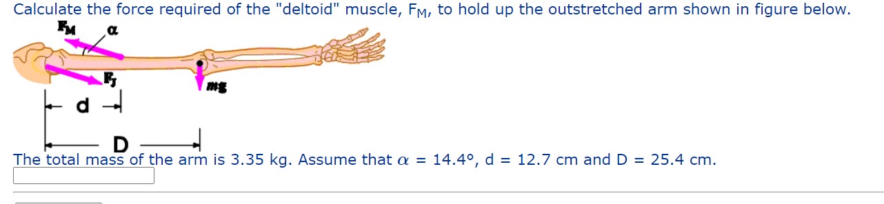 Solved Calculate the force required of the "deltoid" muscle, | Chegg.com