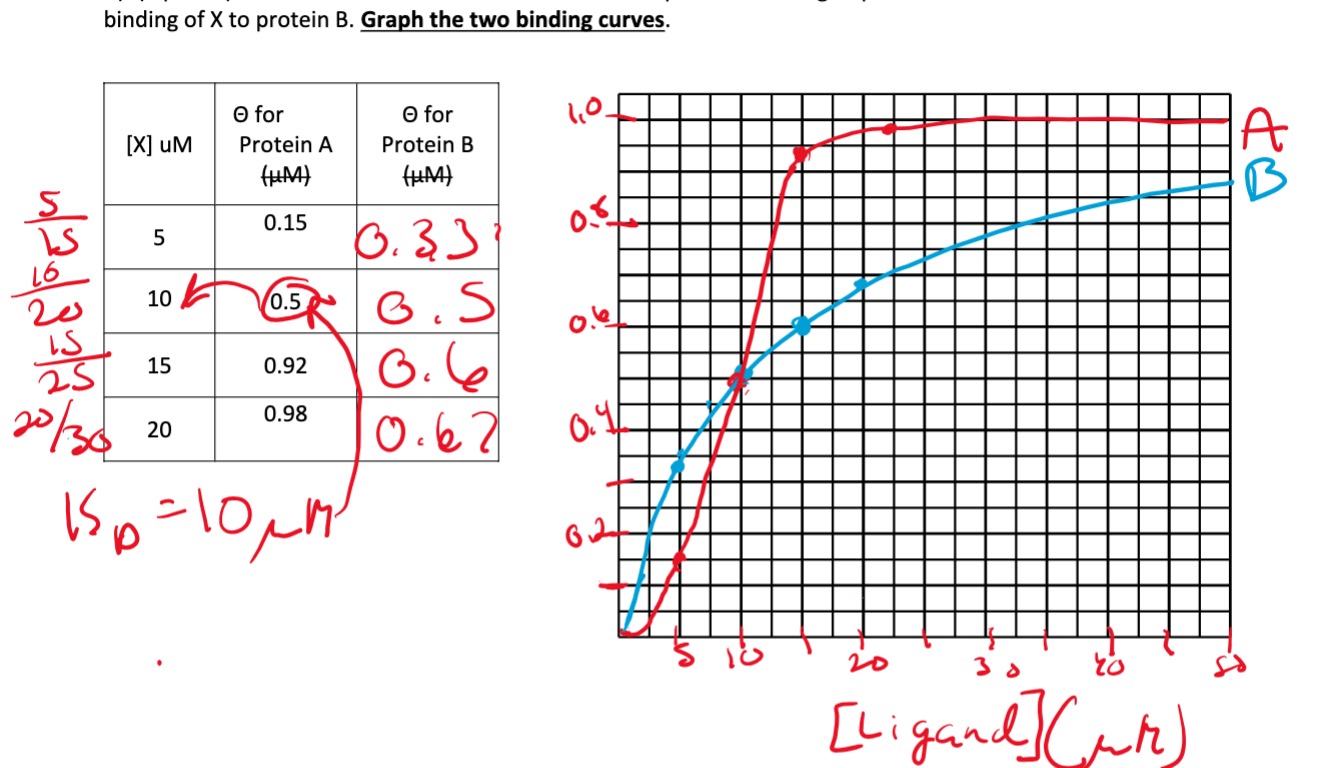 Solved Buffer B : What is the intended pH of this buffer: | Chegg.com