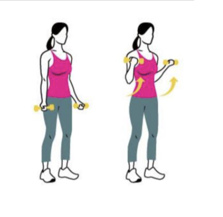 Solved A: People use full range of motion of biceps when | Chegg.com