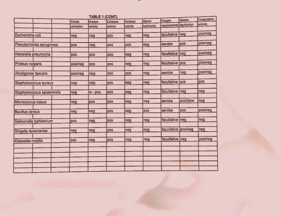 Solved Based on the dichotomous key what is my unknown | Chegg.com