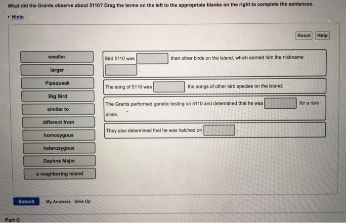 Solved What did the Grants observe about 5110? Drag the | Chegg.com