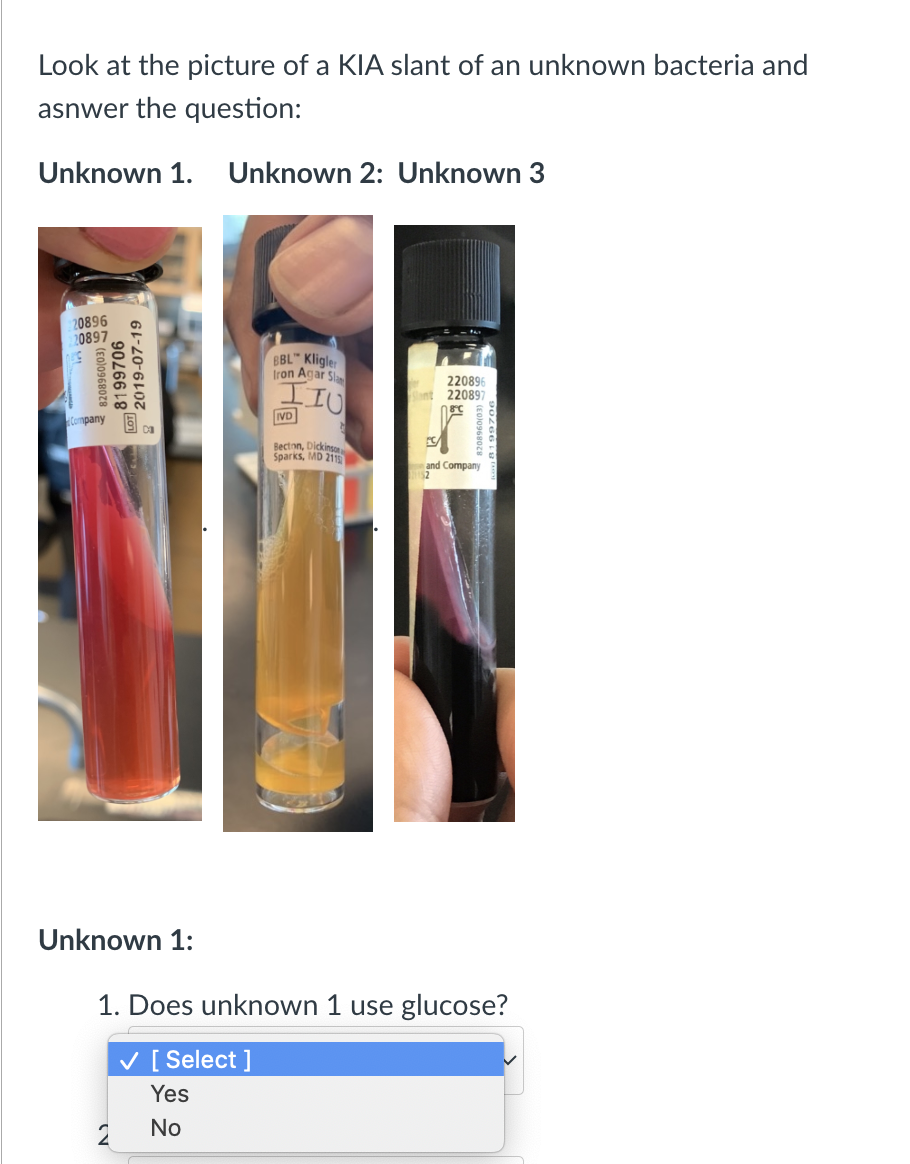 Solved Look at the picture of a KIA slant of an unknown | Chegg.com