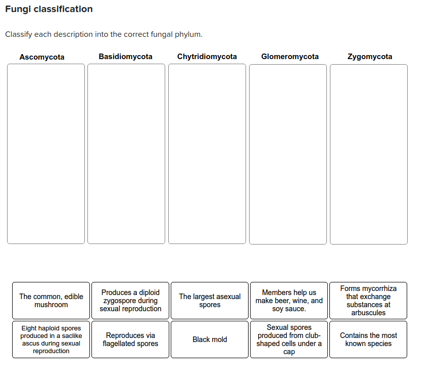 Solved Fungi classification Classify each description into | Chegg.com