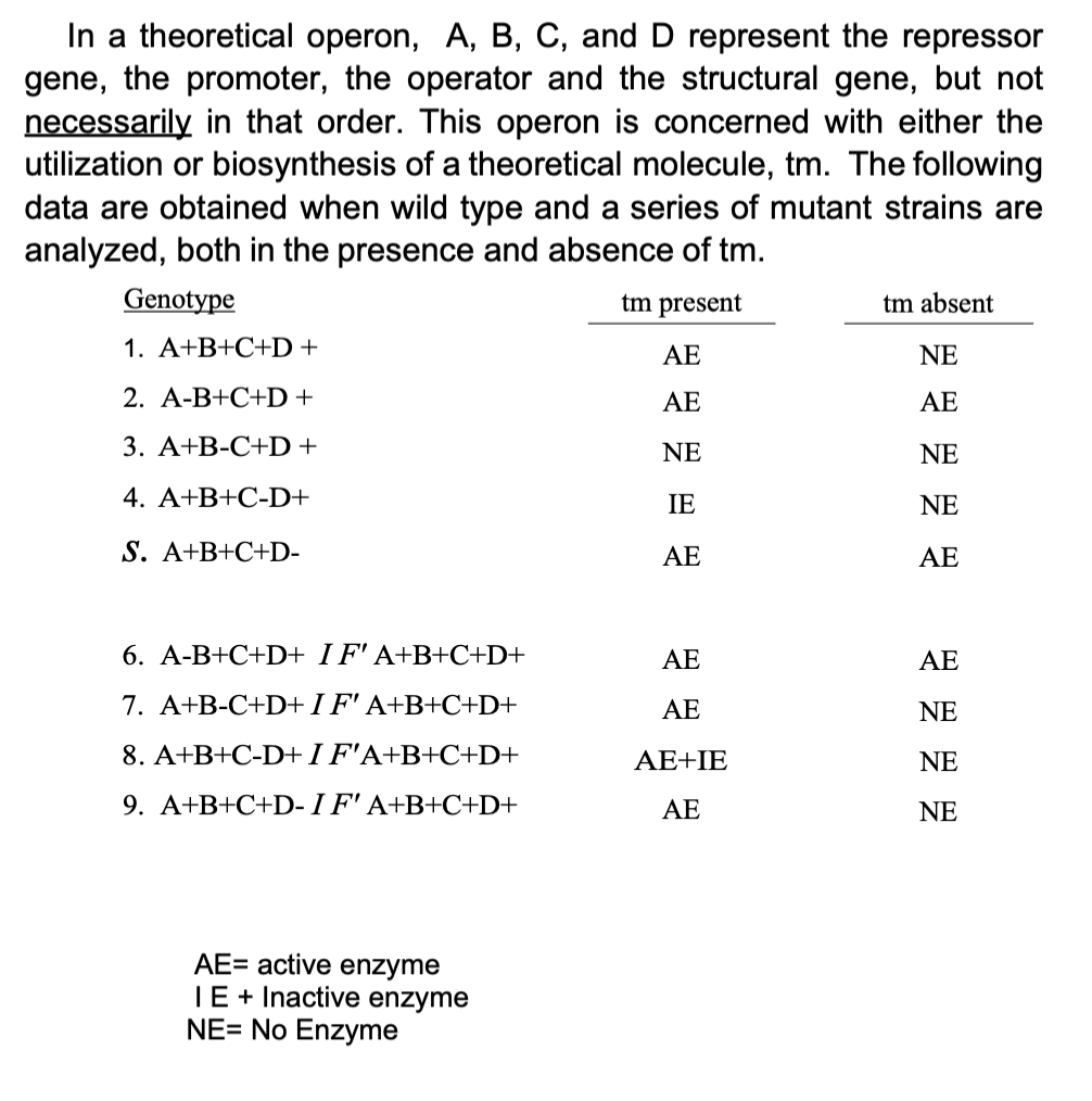 Solved In a theoretical operon, A,B,C, ﻿and D represent the | Chegg.com