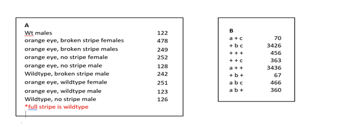 Solved Data set A summarizes F2 numbers from an F1 cross | Chegg.com