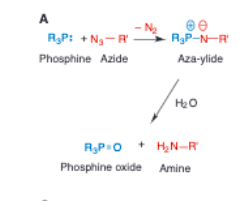 Solved Draw a detailed mechanism for the formation of the | Chegg.com