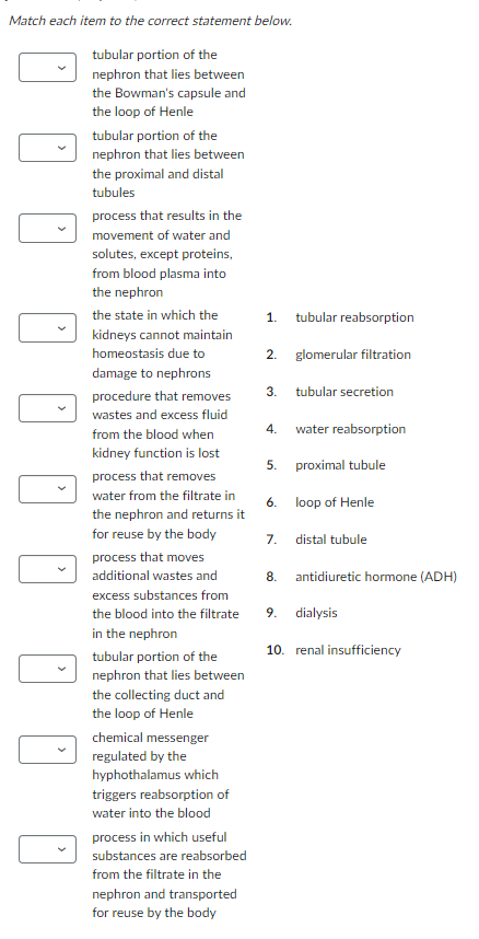 Solved Match each item to the correct statement below. | Chegg.com