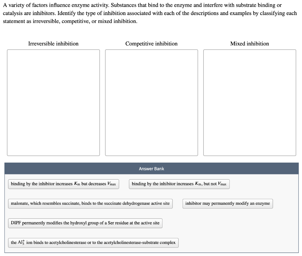 Solved A variety of factors influence enzyme activity. | Chegg.com