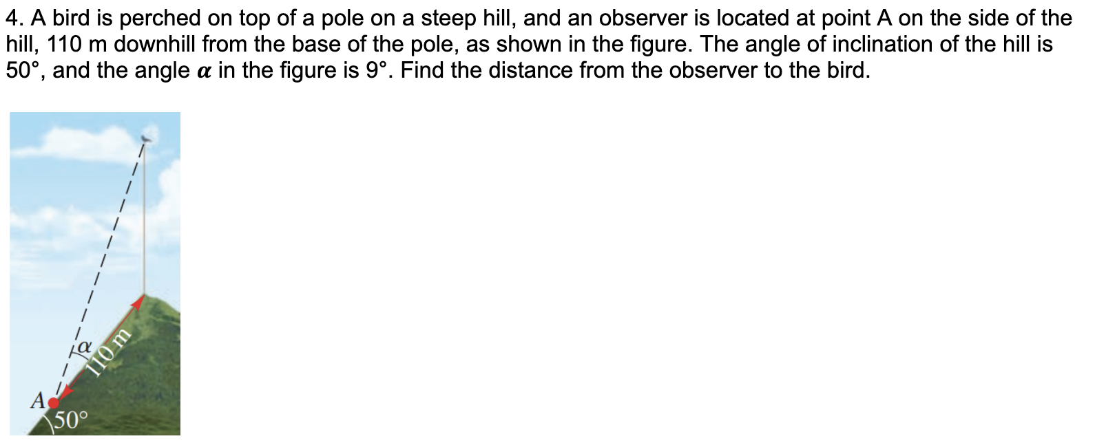 Solved 4. A bird is perched on top of a pole on a steep | Chegg.com
