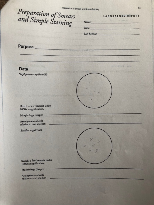Solved Preperation of Smears and Simple Salining 83 | Chegg.com