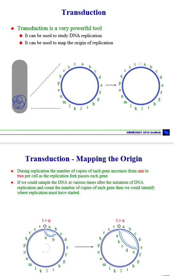 Solved Transduction * Transduction is a very powerful tool » | Chegg.com