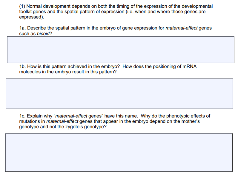 Solved (1) Normal development depends on both the timing of | Chegg.com