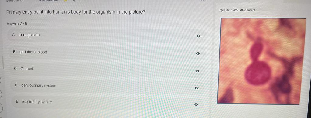 Primary entry point into human's body for the | Chegg.com