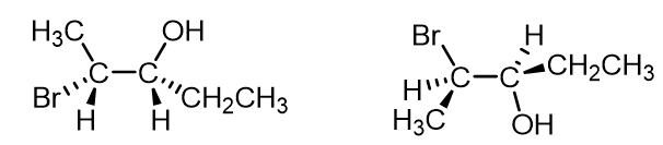 Solved What term best describes the relationship between the | Chegg.com