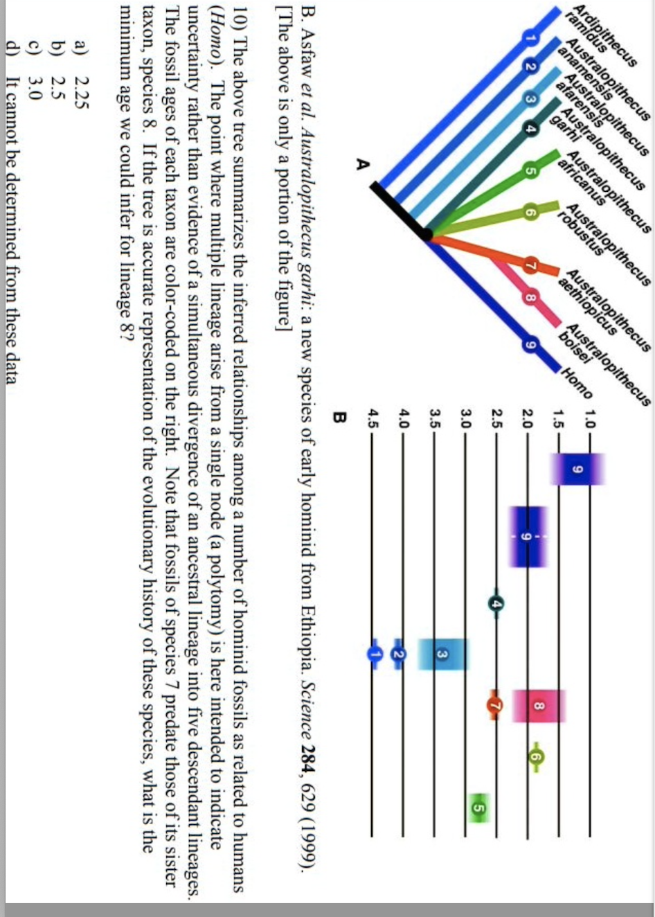 Solved B. Asfaw et al. Australopithecus garhi: a new species | Chegg.com