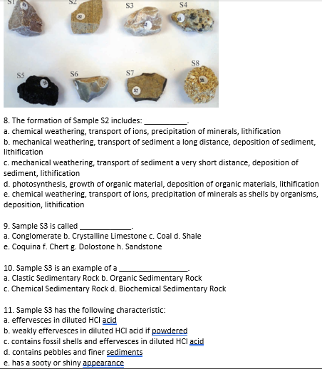 Solved 8. The formation of Sample S2 includes: a. chemical | Chegg.com