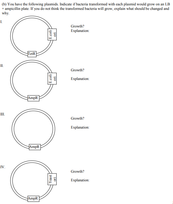Solved (b) You have the following plasmids. Indicate if | Chegg.com